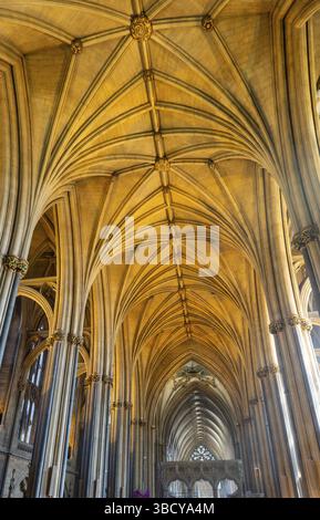 Vaulted roof ceiling inside Bristol cathedral church, Bristol, England ...