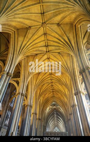 Vaulted roof ceiling inside Bristol cathedral church, Bristol, England ...