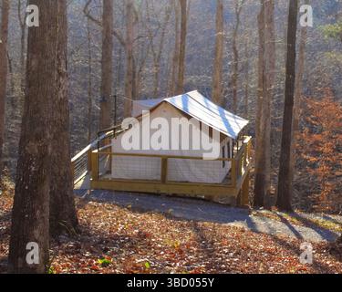 Comfortable stay in a luxury glamping retreat with gaming, wine and ...