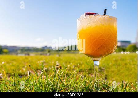 Zebra striping and damp drinking. Fruits cocktail and summer drink 20 ...