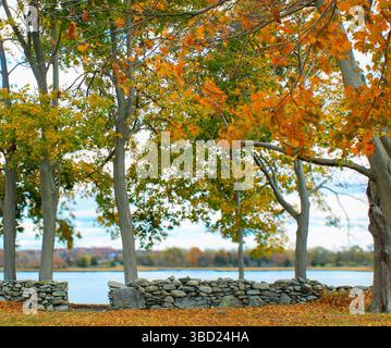 Autumn perfection in Rhode Island. This park is absolutely glowing with ...