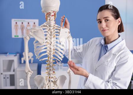 Doctor pointing at sections of human skeleton model in clinic, closeup ...