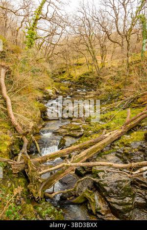 Waterfall on the Afon Cynfal near Ffestiniog North Wales Stock Photo ...