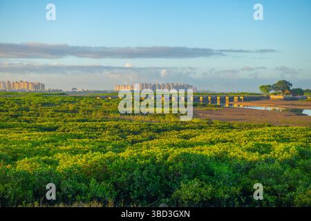 Luoyang Bridge aka Wan'an Bridge is a pedestrian bridge built over 1000 ...