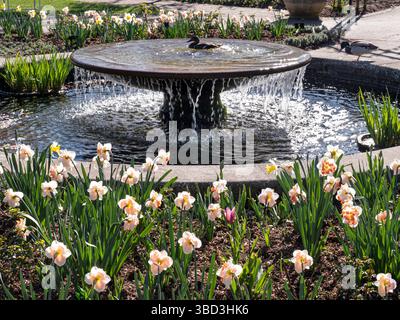 Water fountain, Wisley gardens Stock Photo - Alamy