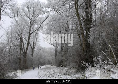 Couple petting dog in snow covered mountain landscape Stock Photo - Alamy