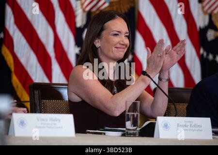 Agriculture Secretary Brooke Rollins takes part in a roundtable ...