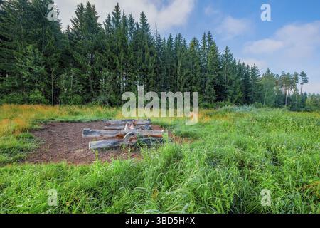 Salt feeder for wild animals at forest edge Stock Photo - Alamy