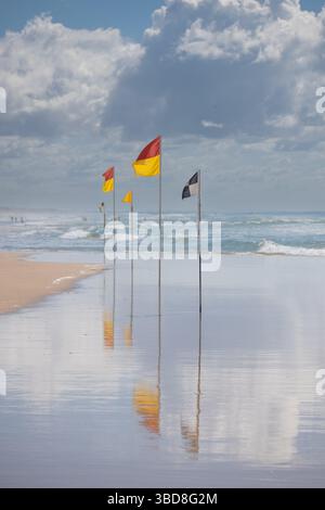 Beach safety flags for swimming and surfing on the shore at Broadbeach ...