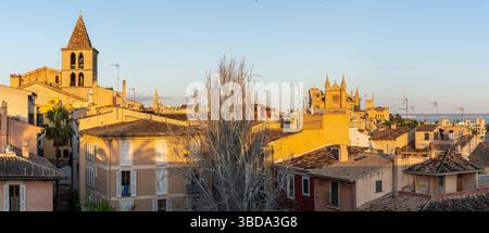 Palma Cathedral and Church of the Sacred Heart, Palma, Mallorca ...