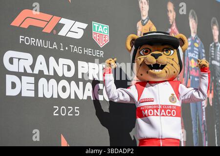Automobile Club de Monaco mascot illustration during the Formula 1 Tag ...