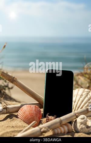 Seashells detail on a cane background. Top view Stock Photo - Alamy