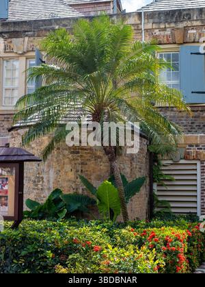 Queen Elizabeth II - West Indies royal tour 1966 Stock Photo - Alamy
