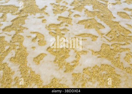 close up of moving little bubbles at the ocean Stock Photo - Alamy