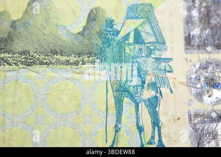 A tree from the obverse side of 10 SDG ten Sudanese pound cash money ...