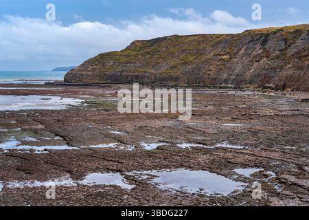 The rocky seabed at the base of the cliffs at Scarborough at low tide ...