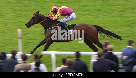 Goal Exceeded ridden by Adam Caffrey wins The QuinnBet Handicap during ...