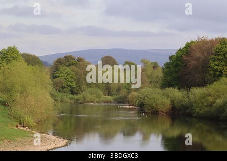 A tranquil view of a flowing river reflecting trees and the sky ...