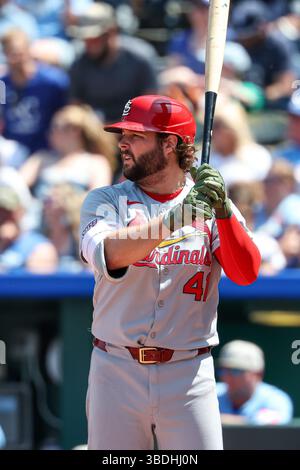 St. Louis Cardinals' Alec Burleson watches his two-run single off Tampa ...