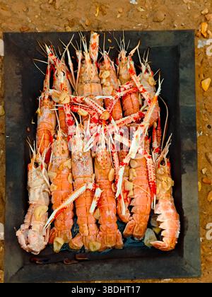 Fresh crayfish roasted using the rustic method Stock Photo - Alamy