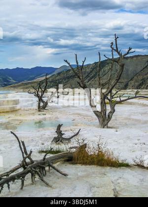 View of the terraces made of crystallized calcium carbonate, Mammoth ...