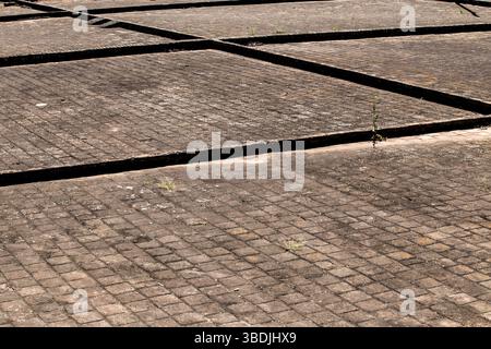 Clay floor tile typical of coffee drying patio of old Brazilian farms ...