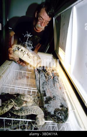 Deep frozen reptiles Stock Photo - Alamy