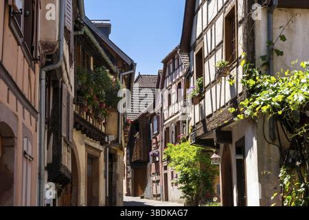 Ribeauville, France - 30 May, 2022: historic colorful half-timbered ...