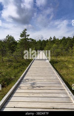 A wooden boardwalk nature trail leading through a peat bog landscape ...