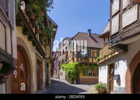 Ribeauville, France - 30 May, 2022: historic colorful half-timbered ...