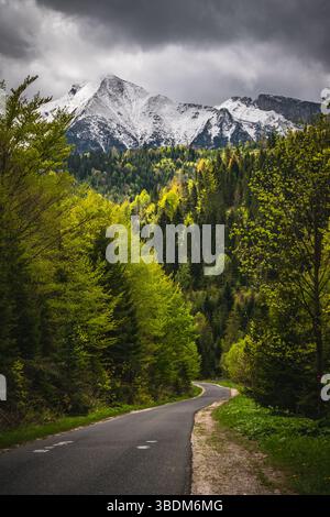 Summer landscape of the Belianske Tatras. Tatra National Park, Slovakia ...