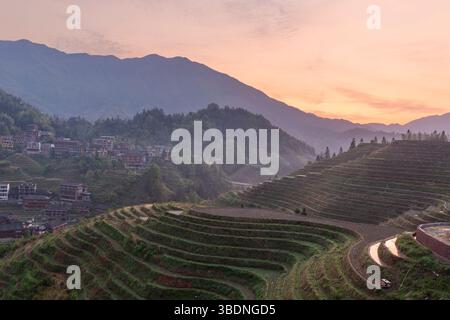 rice terraced fields of Wengjia longji Longsheng Hunan China Stock ...