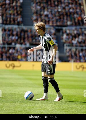Anthony Gordon of Newcastle United looks to play in team mate Nick ...
