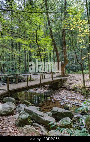 Foot bridge across the creek along the Fighting Creek Nature Trail ...