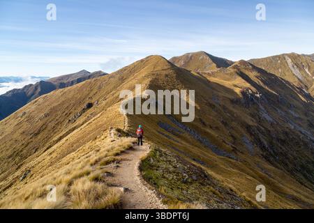 Hiking trail, Kepler Track, Great Walk, mountain landscape with grass ...