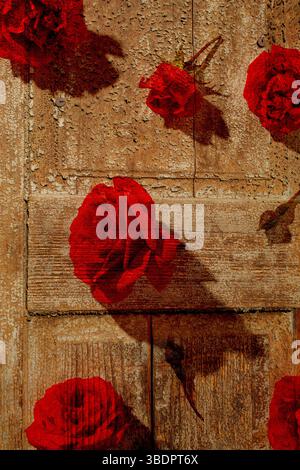 An abstract minimalist composition of a red textured concrete terrace ...
