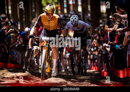 Mathis Azzaro of France competes during the Mountain bike cross country ...