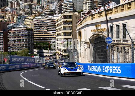 #25 Ariel Levi (ISR, Team GP Elite), Porsche Mobil 1 Supercup at ...