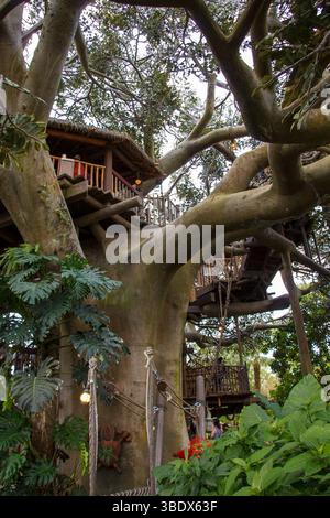 The Swiss Family treehouse in Adventureland, Magic Kingdom amusemenet ...