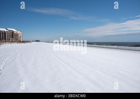A rare South Carolina beach snowfall Stock Photo - Alamy