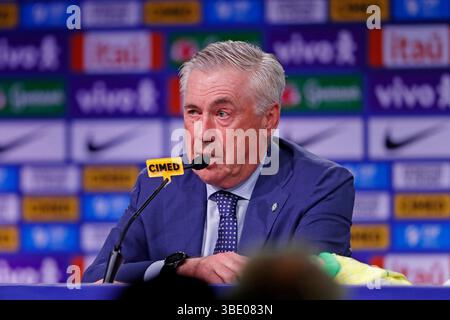 Brazil’s team with coach Carlo Ancelotti during the Soccer World Cup ...