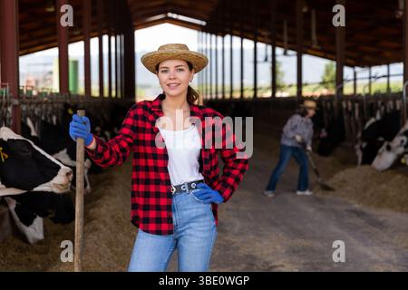 Farmer working in cowshed, engaged in breeding of milking holstein cows ...