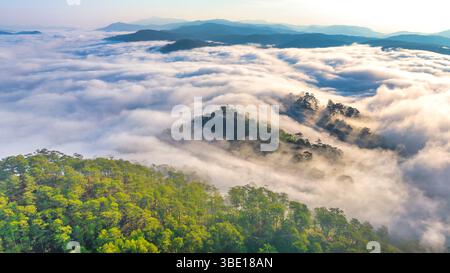 Aerial view of the Cau Dat suburbs near Da Lat city at morning with ...