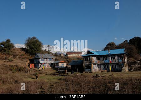 Paldor Peak and the Ganesh Himal seen from the Tamang Heritage Trail ...