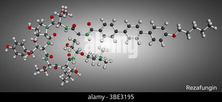 Rezafungin molecule. Antifungal cyclic lipopeptide from echinocandin ...