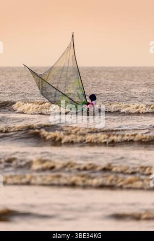 Indonesia, Mentawai Archipelago, Siberut Island, Siberut National Park ...