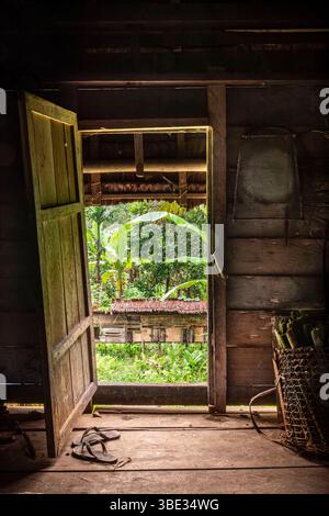 Indonesia, Mentawai Archipelago, Siberut Island, Siberut National Park ...