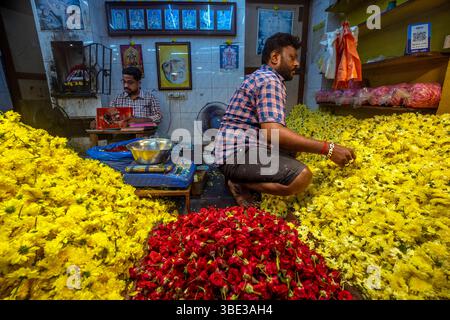 India, Pondichery, Goubert market Stock Photo - Alamy