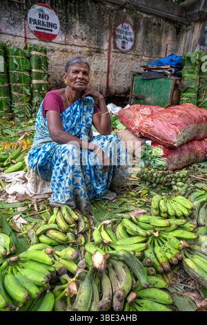 India, Pondichery, Goubert market Stock Photo - Alamy