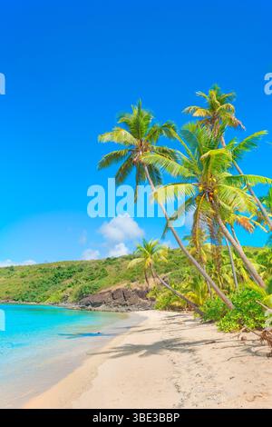 Tropical sandy beach, Drawaqa Island, Yasawa islands, Fiji, South ...